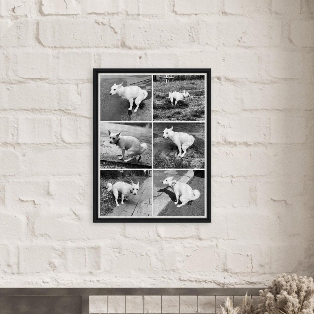 Customizable Dog Collage Poster 2x3 Your Pooping Dog as Canvas Framed ...