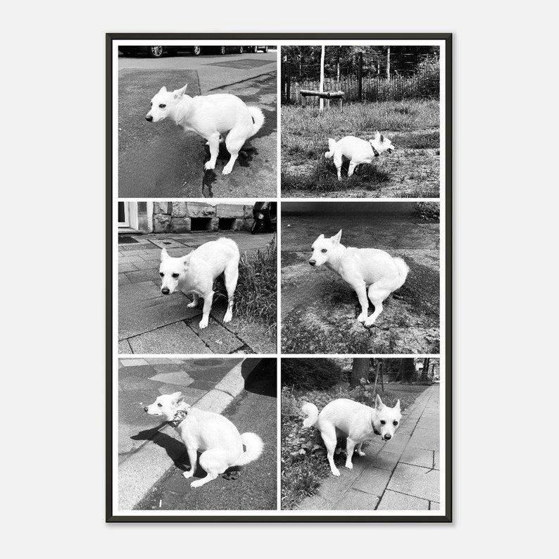 Customizable Dog Collage Poster 2x3 My Pooping Dog as a Wall Picture ...
