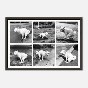 Customizable Dog Collage Poster 2x3 My Pooping Dog as a Wall Picture ...