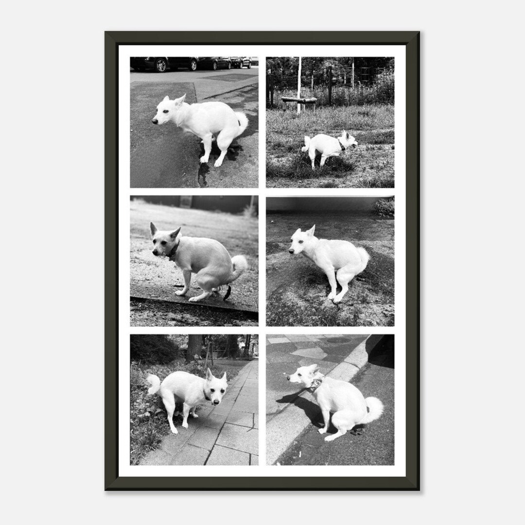 Customizable Dog Collage Poster 2x3 My Pooping Dog as a Wall Picture ...