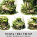Tree Stump Watercolor, 20 Watercolor Tree Trunk, Tree Stump Bundle ...