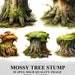Tree Stump Watercolor, 20 Mossy Tree Trunk, Tree Stump Bundle Clipart ...
