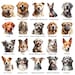 Dog Breeds Clipart Bundle – 100 Cute Dog Illustrations PNG, Puppy Breed ...