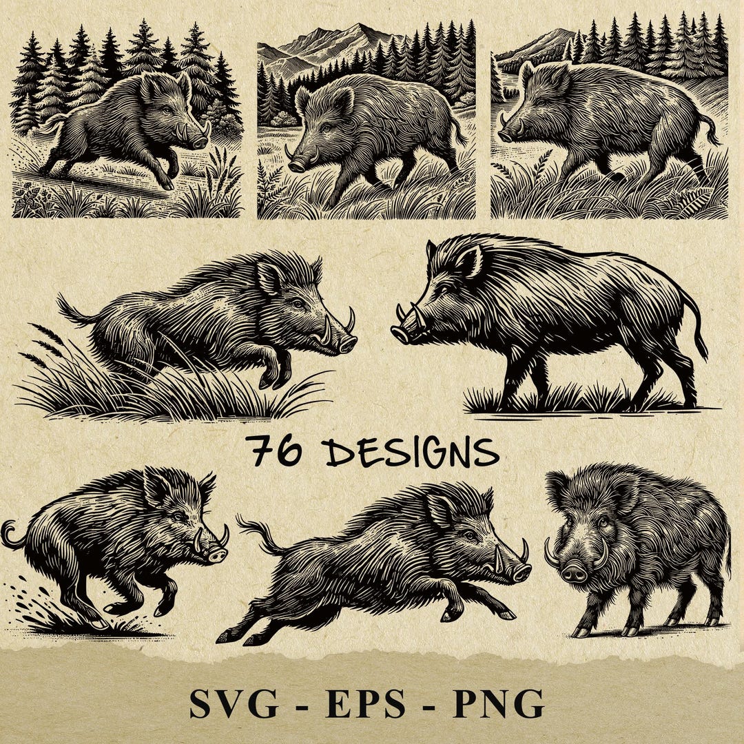 Wild Boar Vintage Vector Illustration, Wild Boar Svg, Wild Boar Head ...
