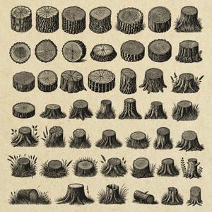 Tree Stump SVG Bundle – Wood Slice, Log Engraving Clipart, Rustic ...