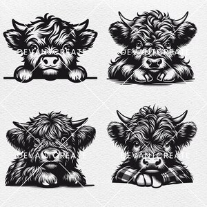 Cute Highland Cow SVG, Baby Cow Svg, Cute Baby Cow, Peeking Highland ...