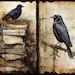 Black Raven Crow Books Junk Journal Page, Raven Book, Raven Crow, Books ...