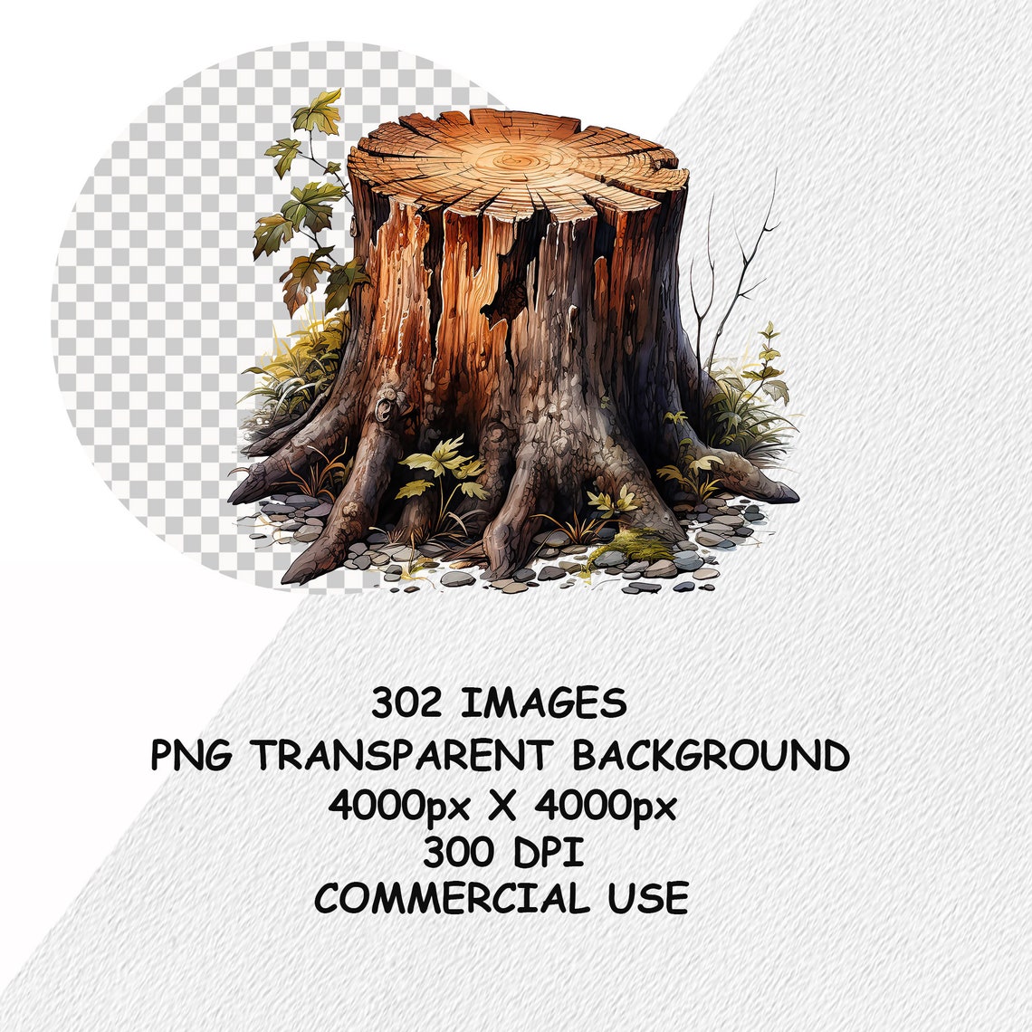 Tree Stump Watercolor, 302 Watercolor Tree Trunk, Tree Stump Bundle ...