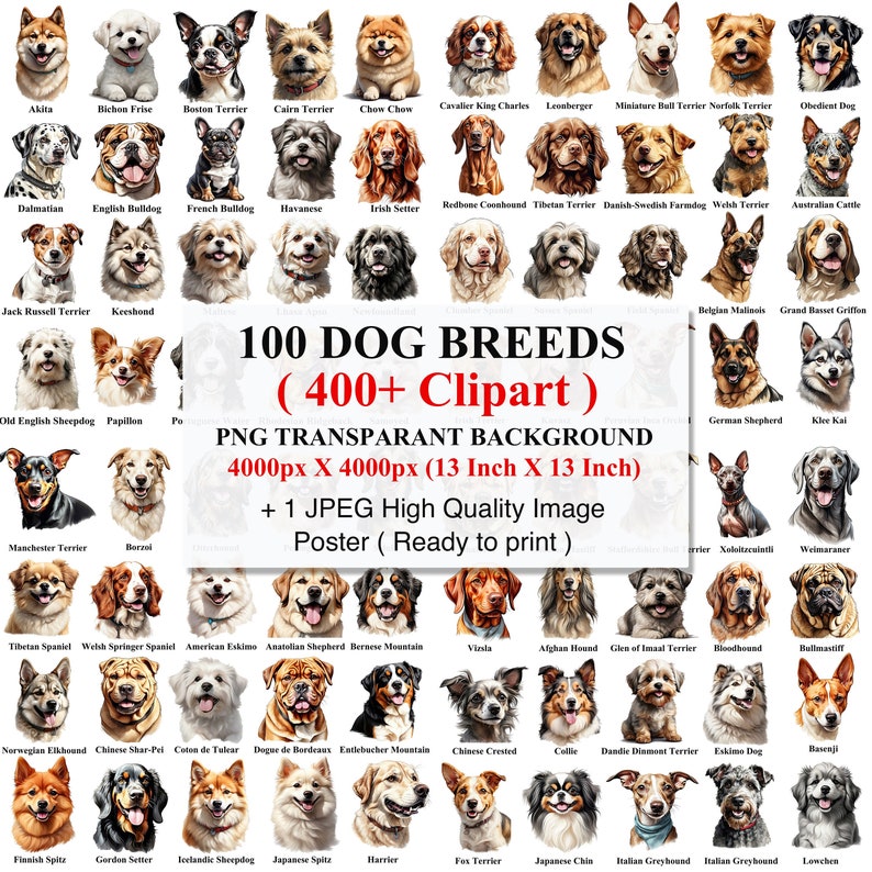 Dog Clipart, Dog Breeds Clipart, Cute Dog, Dog Poster - Etsy