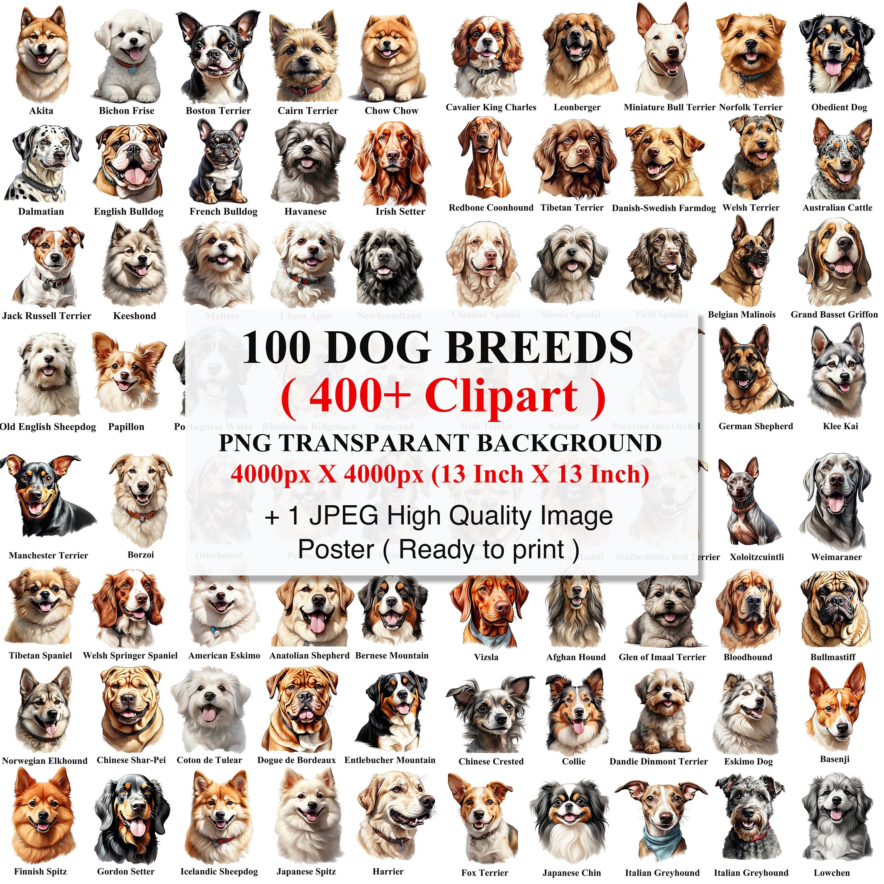 Dog Clipart, Dog Breeds Clipart, Cute Dog, Dog Poster - Etsy