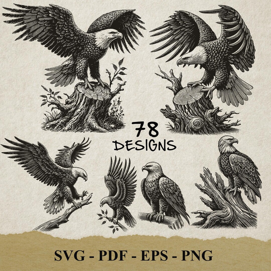 Vintage Eagle Vector Illustration Bundle: 78 Designs (SVG, PNG, PDF) - Etsy