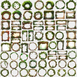 Forest Frame Clipart, 310 Floral Frame, Forest Watercolor, Roots Forest ...