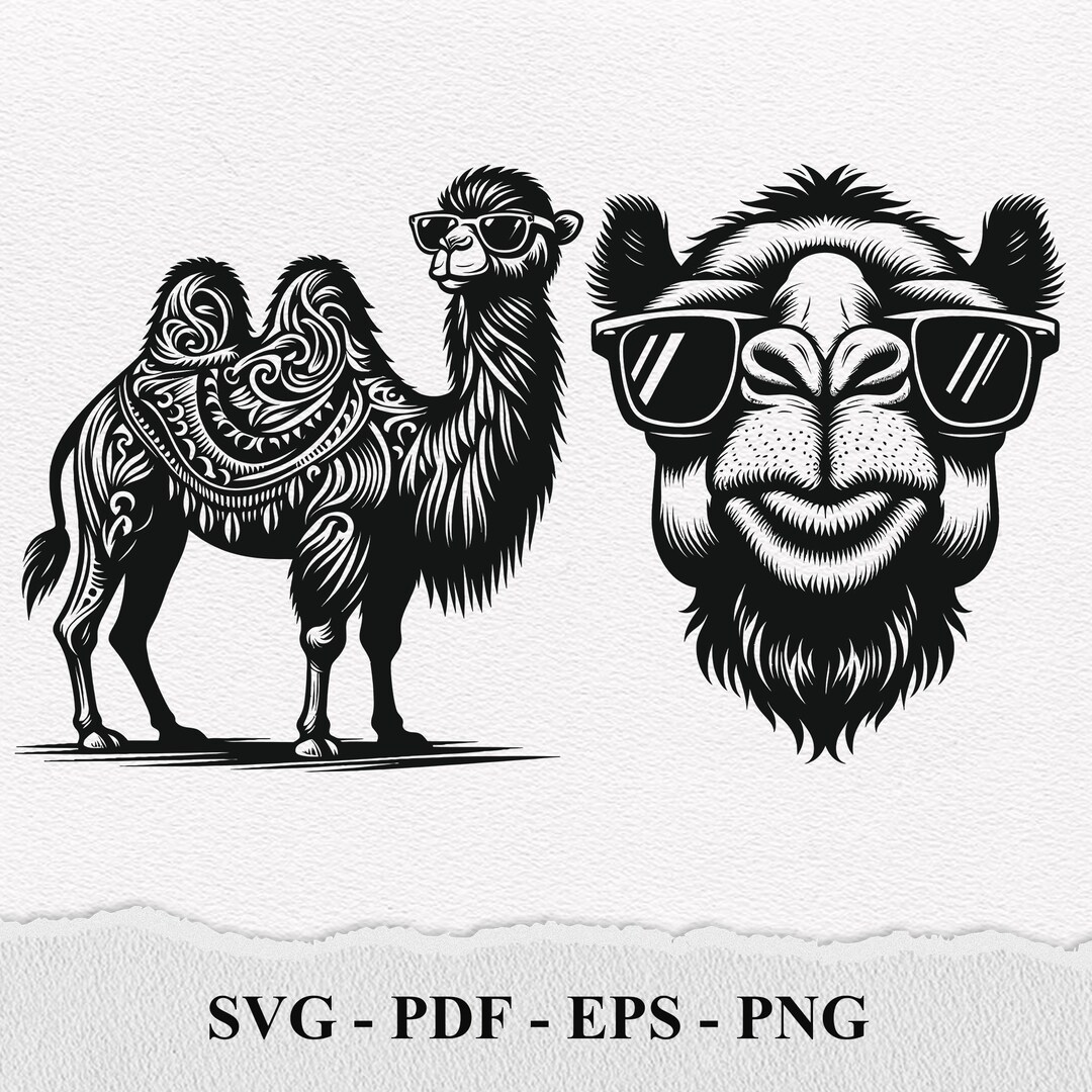 Camel SVG, Camel With Sunglasses, Camel Kiss Svg, Funnycamel Svg, Camel ...