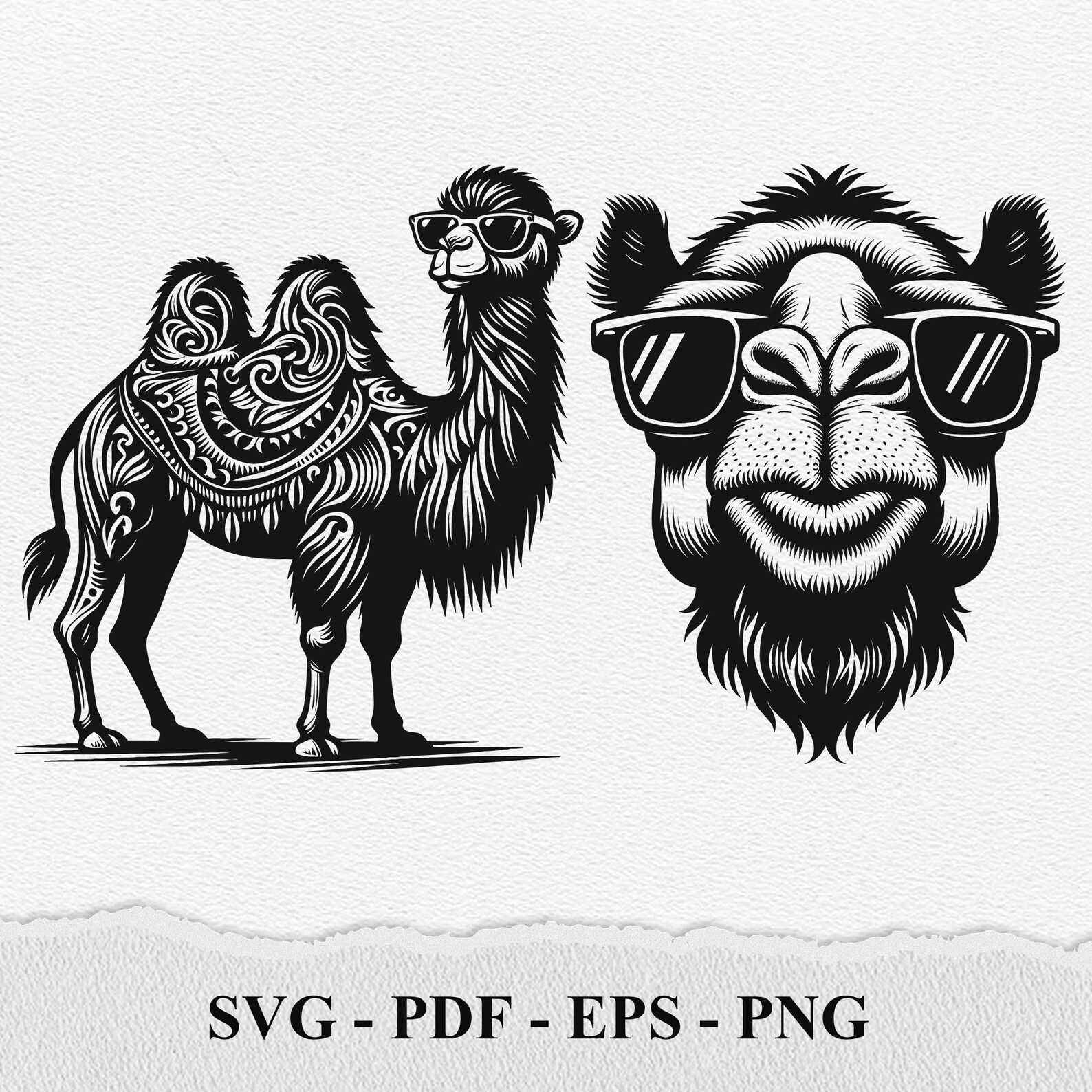 Camel SVG, Camel With Sunglasses, Camel Kiss Svg, Funnycamel Svg, Camel ...