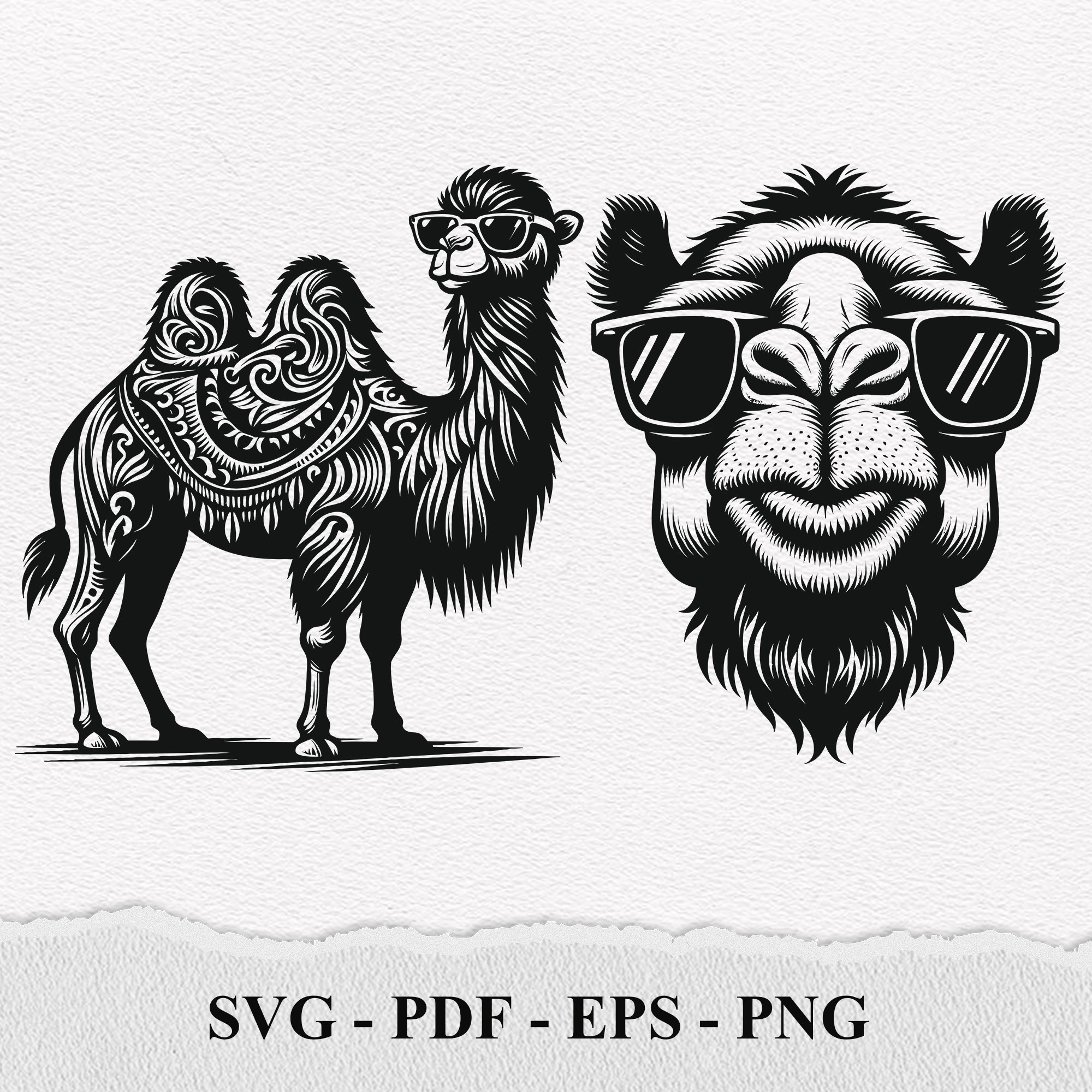 Camel SVG, Camel With Sunglasses, Camel Kiss Svg, Funnycamel Svg, Camel ...