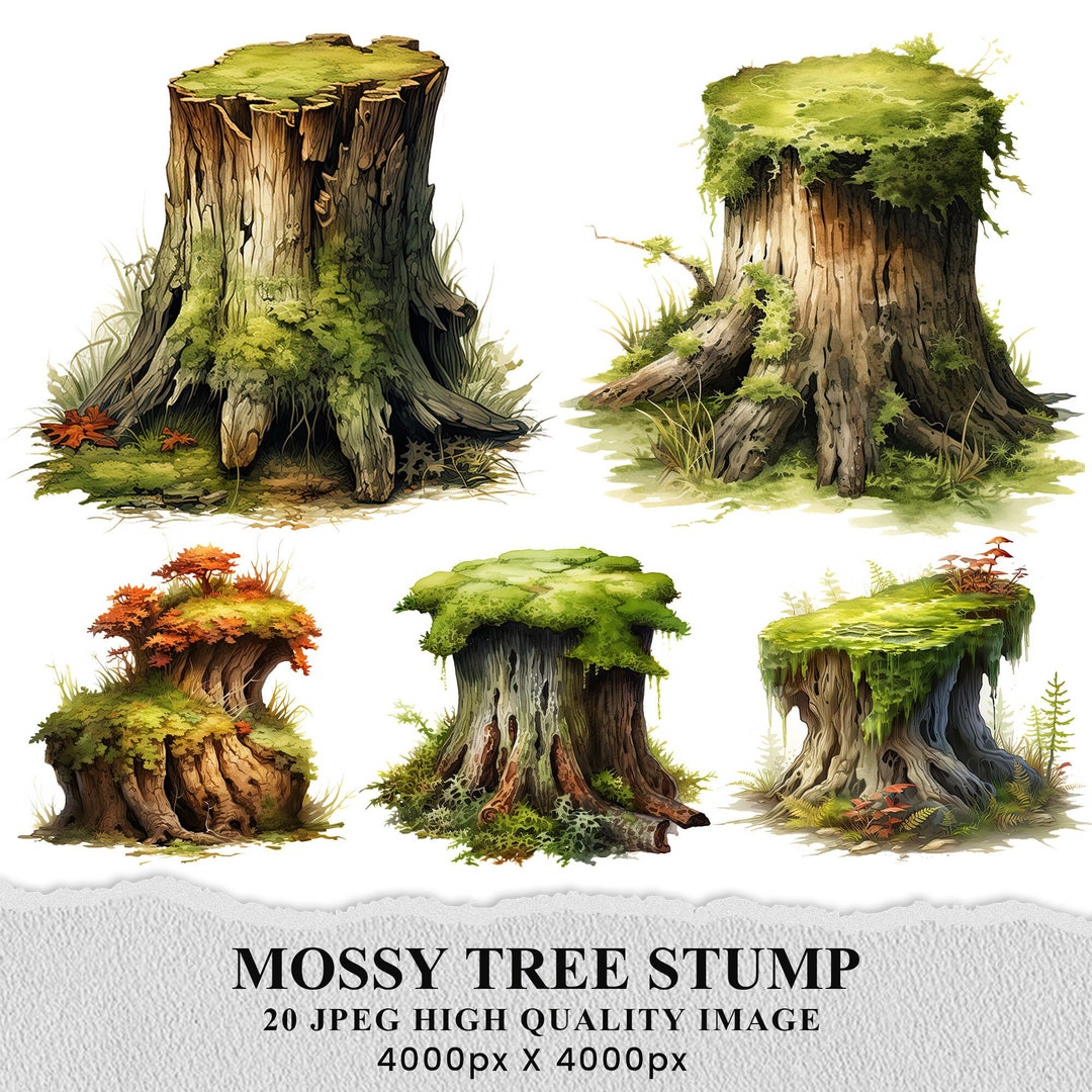Tree Stump Watercolor, 20 Mossy Tree Trunk, Tree Stump Bundle Clipart ...