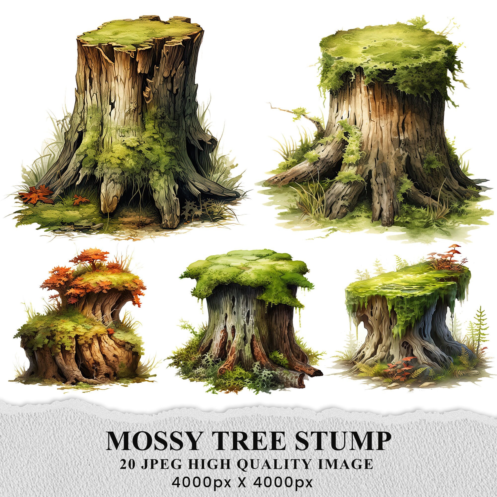 Tree Stump Watercolor, 20 Mossy Tree Trunk, Tree Stump Bundle Clipart ...