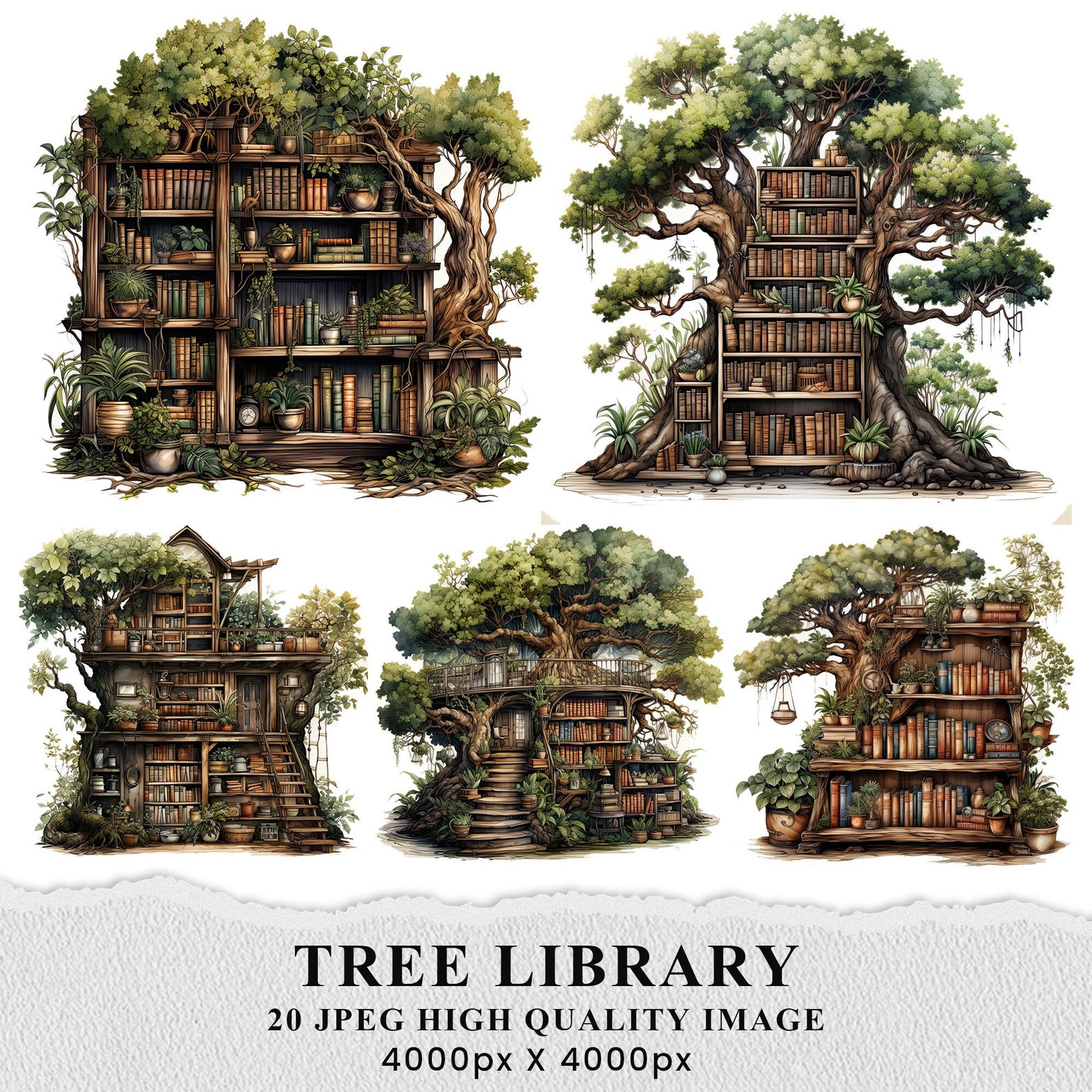 Tree Library Watercolor, 20 Tree Forest Library, Tree Forest Bookshelf ...