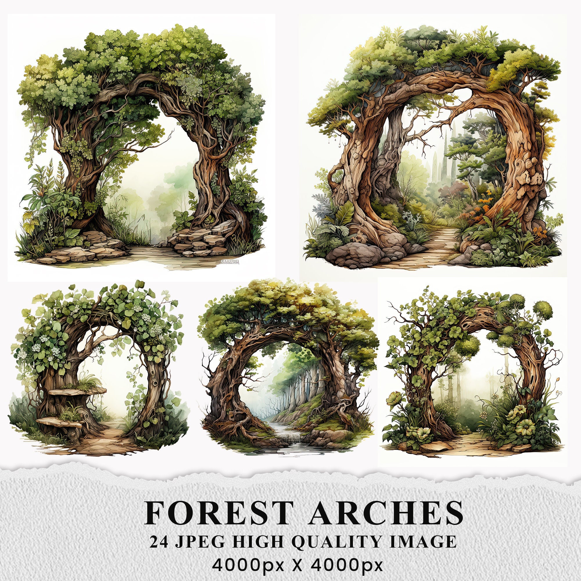 Forest Arches Watercolor, 24 Watercolor Arches Forest, Tree Arches ...