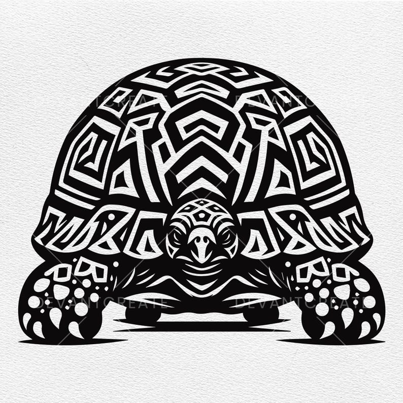 Turtle SVG, Box Turtle Svg, Sea Turtle Svg, Turtle Bundle Silhouette ...