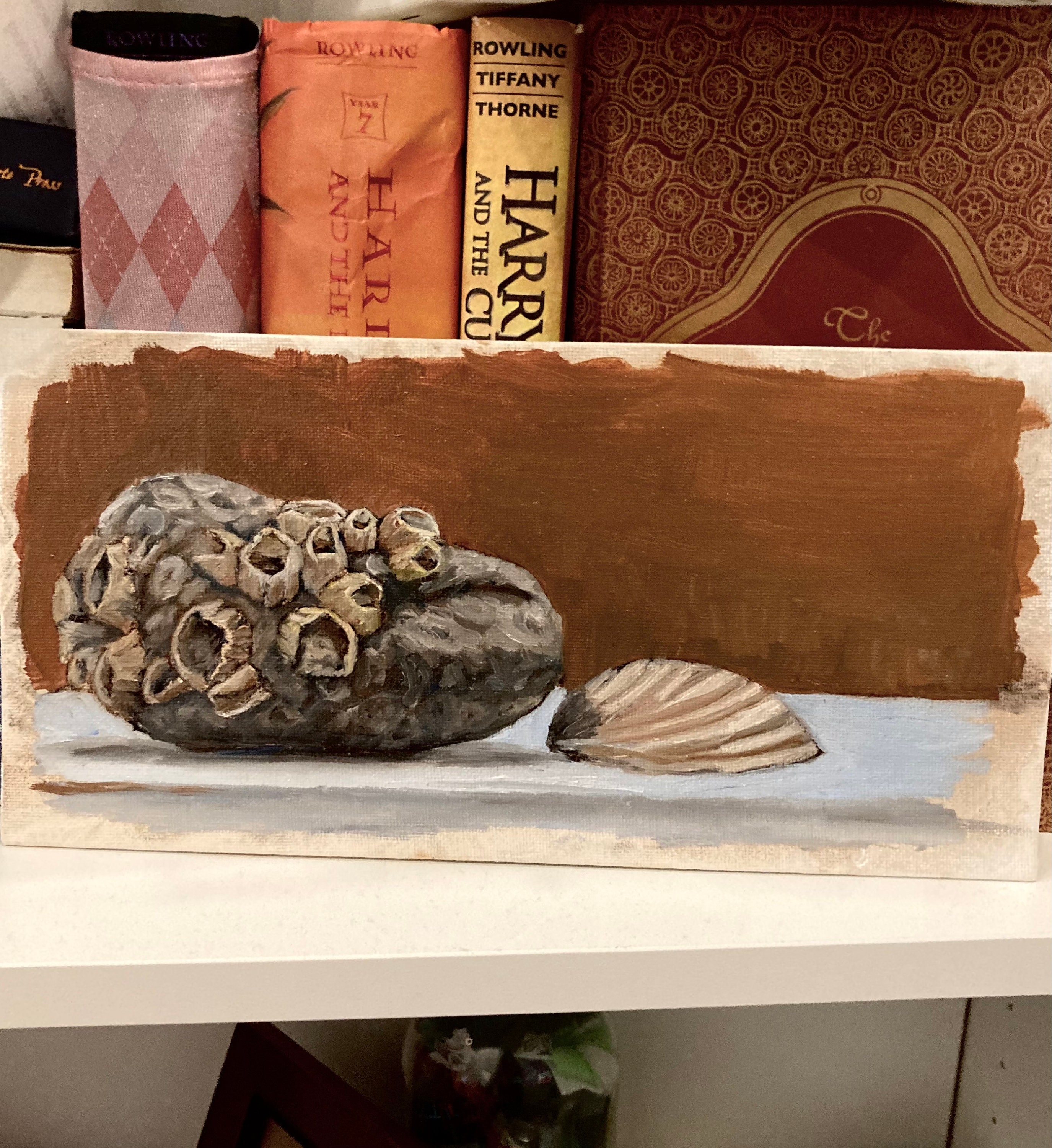 Barnacle Rock and Shell - Original Artwork - Etsy