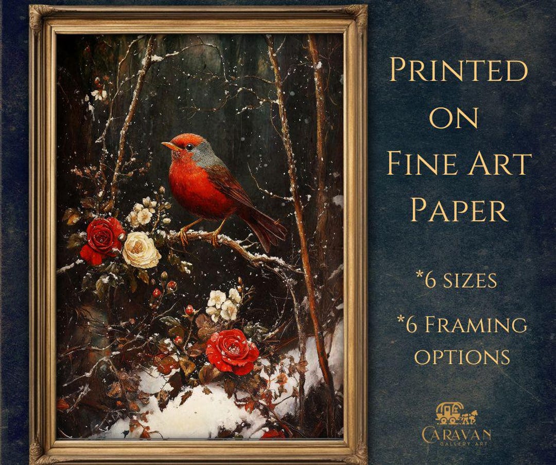 Winter Red Robin & Roses Framed Art Print- Dark Academia, Cottage and ...