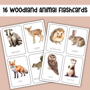 Woodland Animal Flashcards, Forest Animals Watercolour Flash Cards for ...