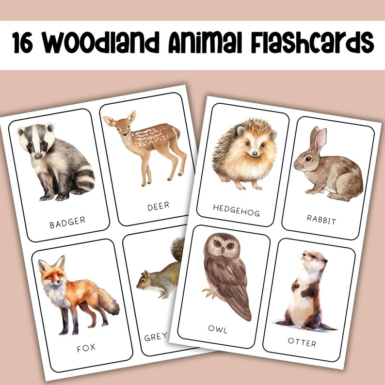Woodland Animal Flashcards, Forest Animals Watercolour Flash Cards for ...