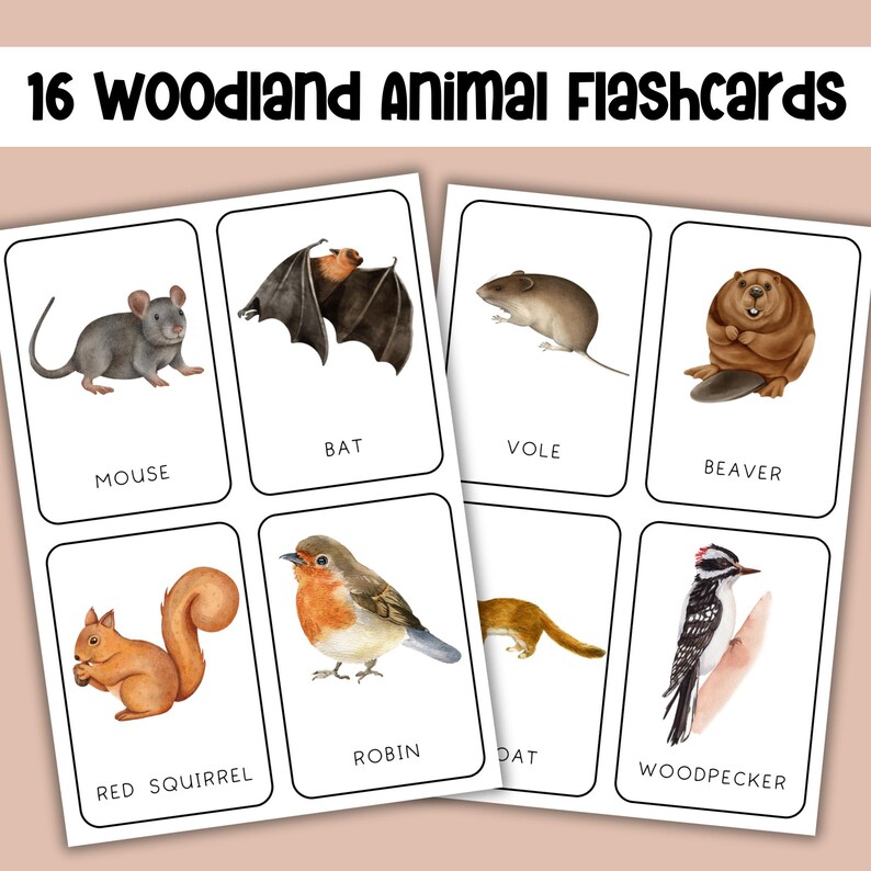 Woodland Animal Flashcards, Forest Animals Watercolour Flash Cards for ...