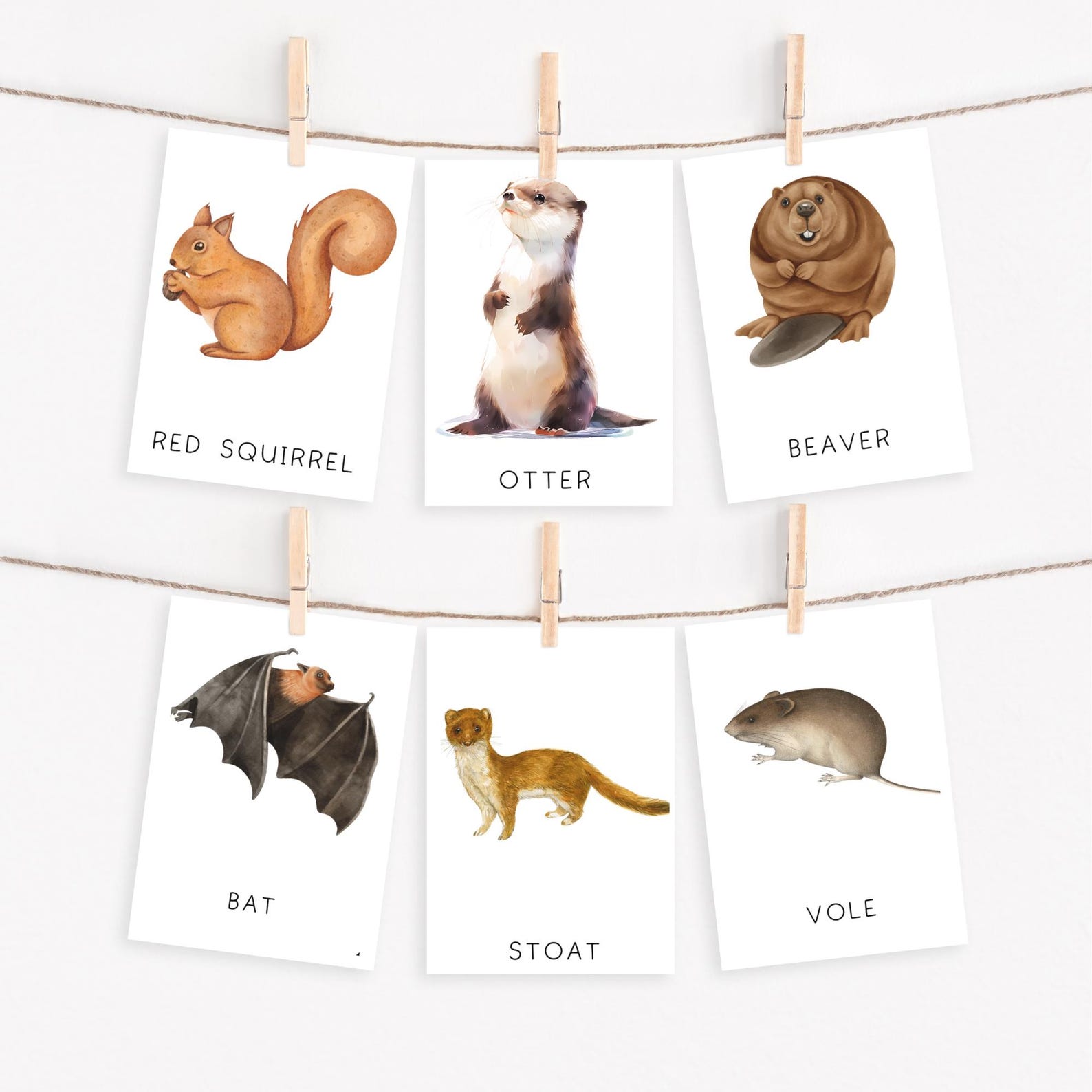 Woodland Animal Flashcards, Forest Animals Watercolour Flash Cards for ...