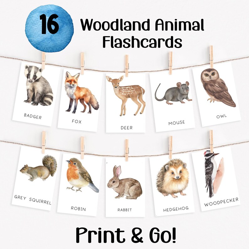 Woodland Animal Flashcards, Forest Animals Watercolour Flash Cards for ...