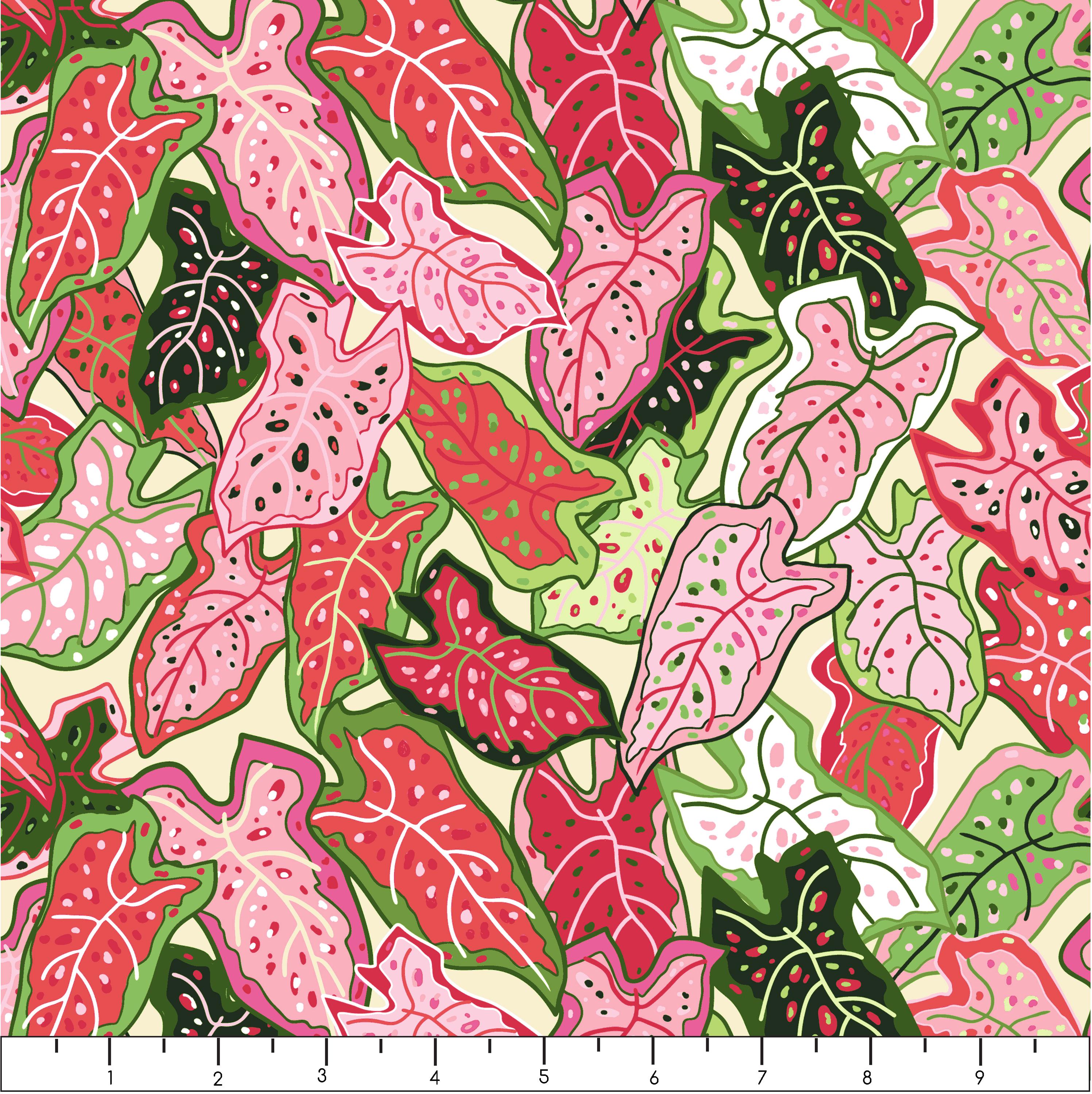 Caladium - Cultivar Chaos - Etsy