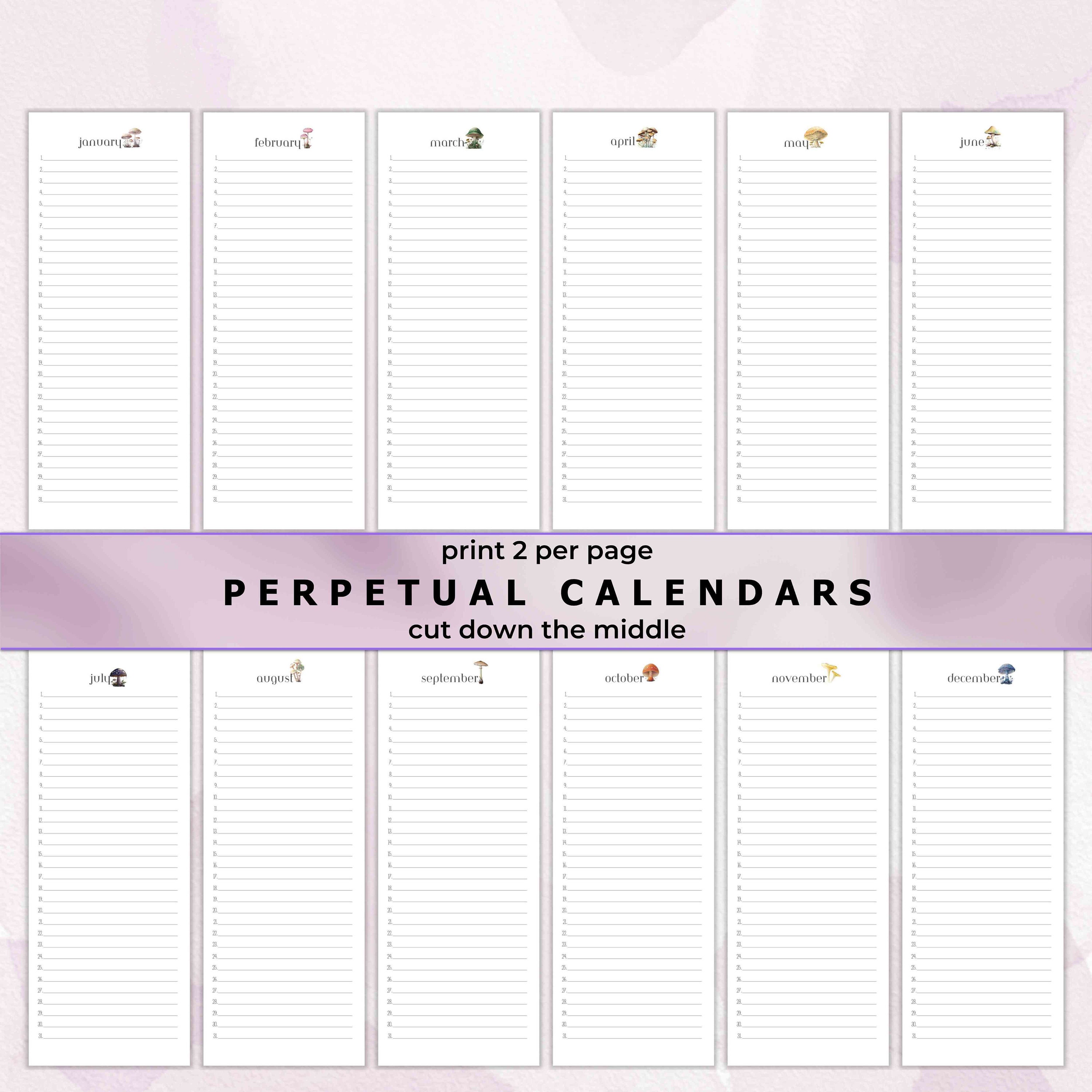 2024 2025 Calendar Bundle A4+US Letter Size - Printable & Editable ...