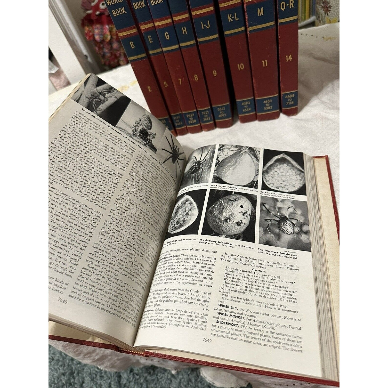 Vintage Decorative Books 1960's World Book Encyclopedia Set of 12 Books ...