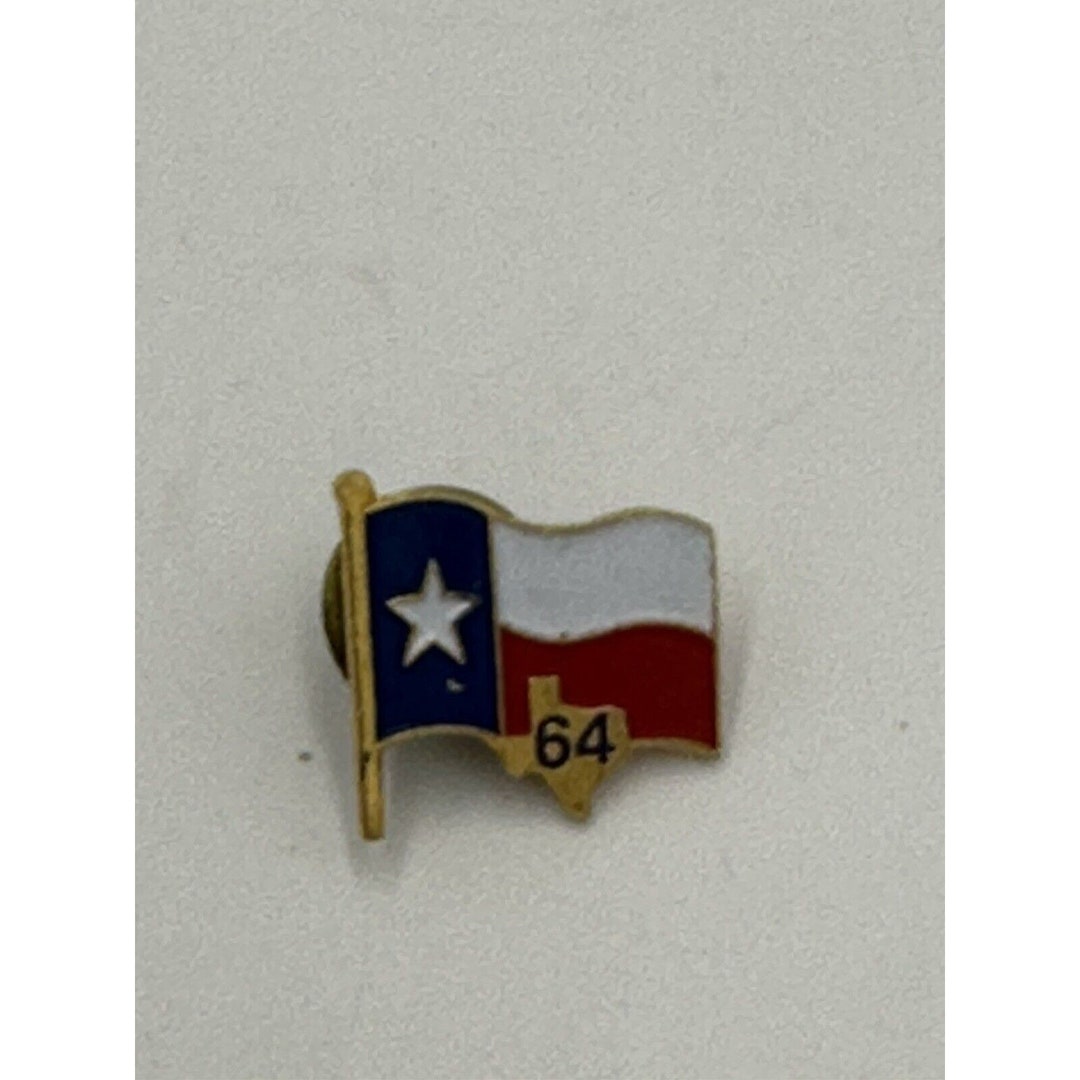 Vintage Texas Lapel Pin Collectors Texas State Flag 64 Counties Texas ...