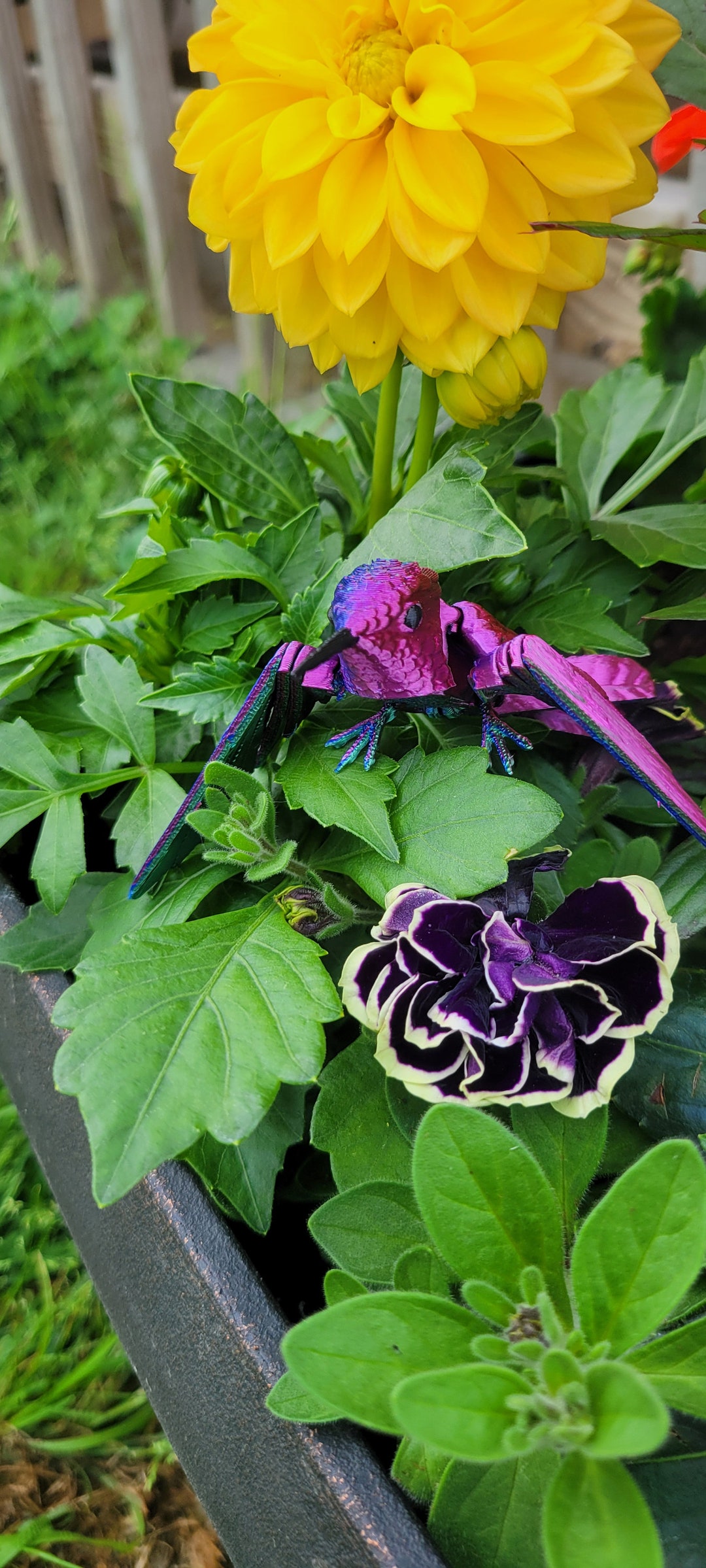 3d Printed Cute Articulated Hummingbird - Etsy
