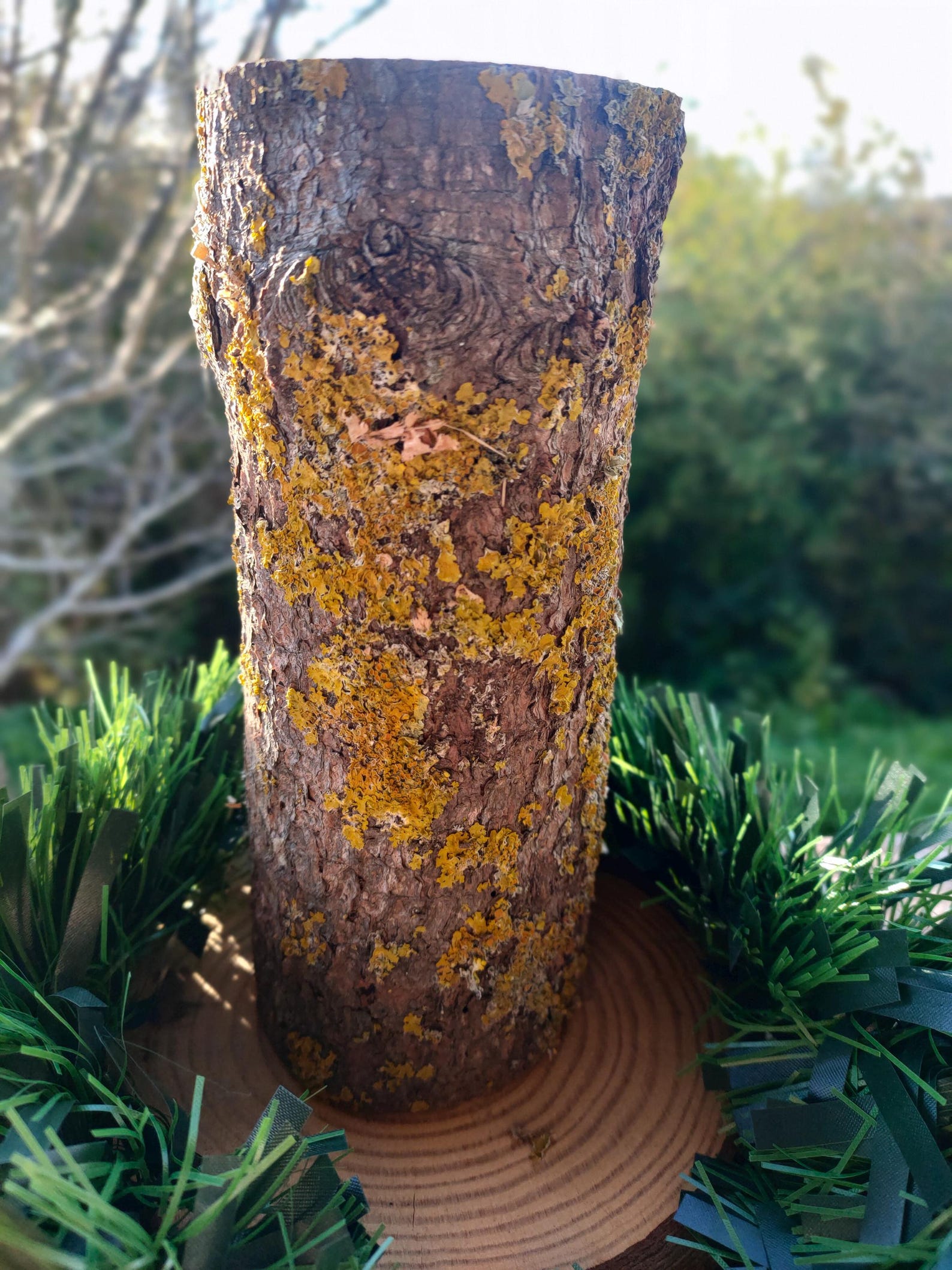 Pine Yule Logs Wooden Log DIY - Natural Rustic Decoration - Christmas ...