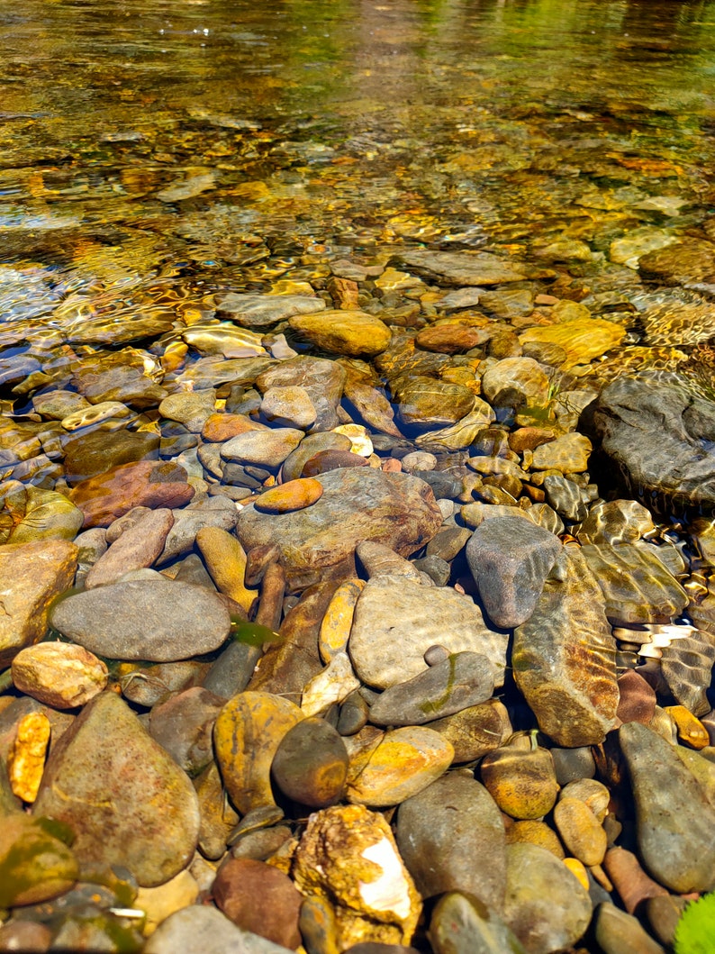 Unique River Stone - Natural Pebble Stones - Portuguese River Rock ...