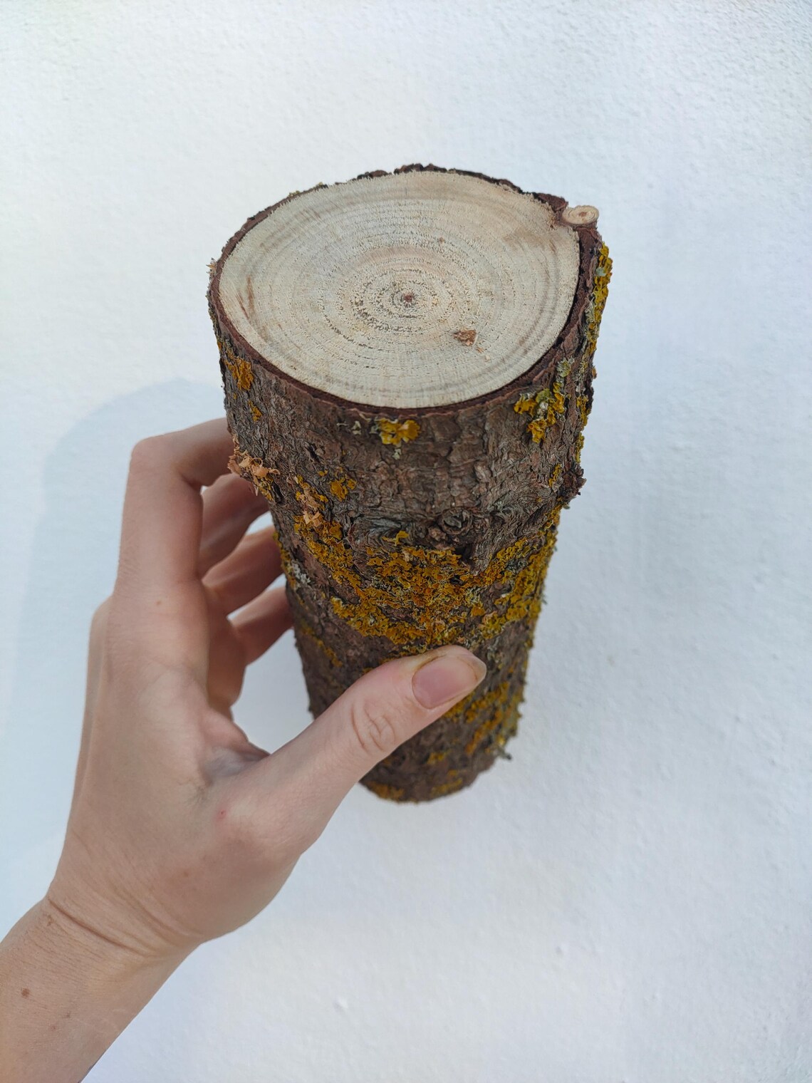 Pine Yule Logs Wooden Log DIY - Natural Rustic Decoration - Christmas ...