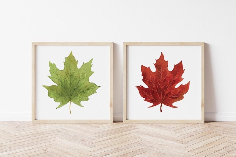 Maple Leaves Fall Gallery Wall Art Print Set of 4 (digital Download) - Etsy