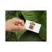 50 First Dates Hukilau Cafe SVG + PNG, Oahu Hawaii Fifty First Dates ...