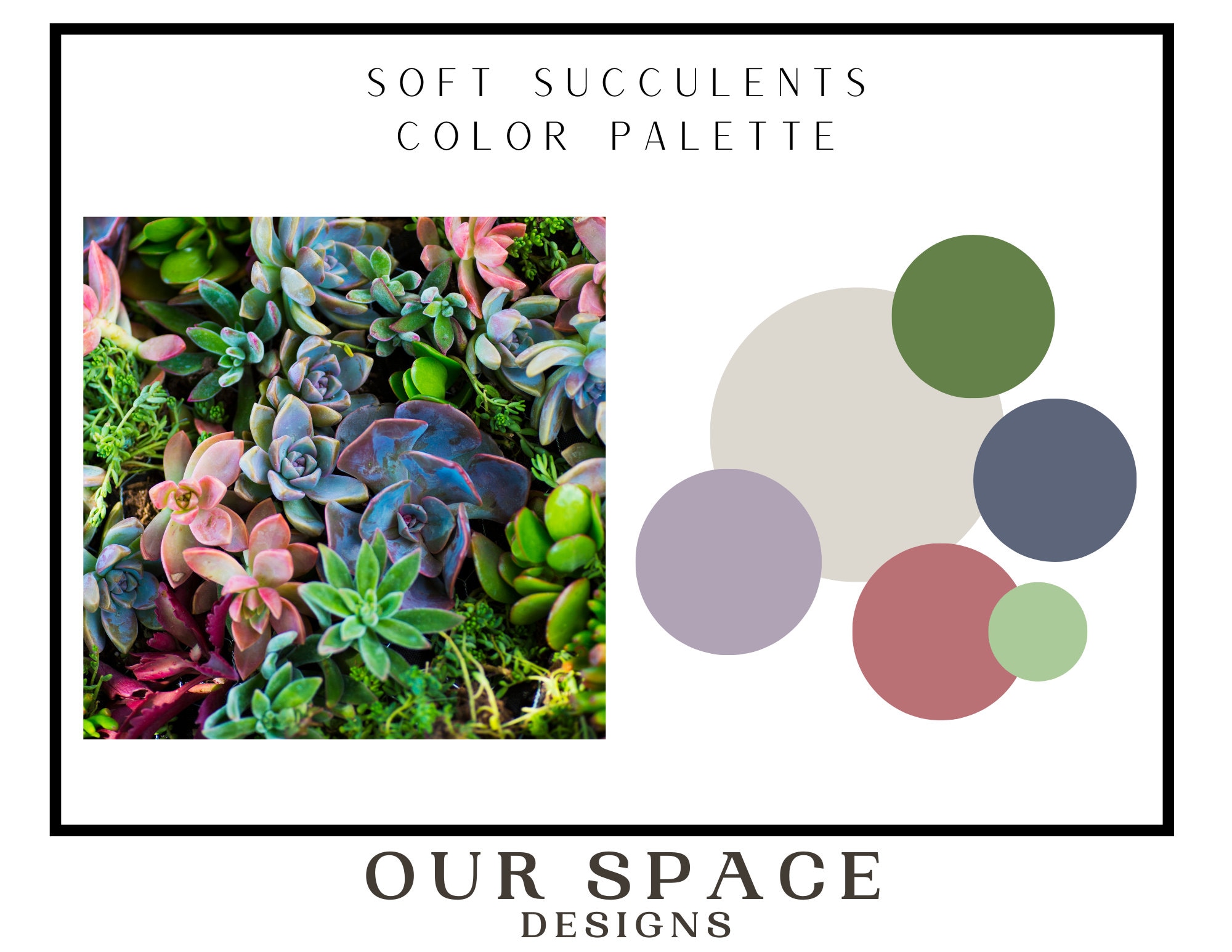 Home Color Palettes - Soft Succulents - Etsy