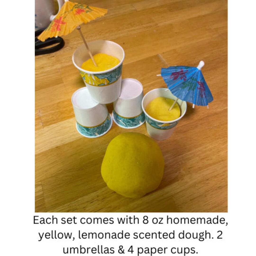 Homemade Lemonade Play Dough Set - Etsy
