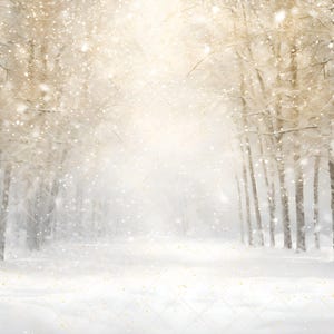 Holiday Snow Path Digital Background, Christmas Forest Backdrops, Bokeh ...