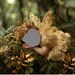 Newborn Fairy Face Insert, Autumn Baby Fairy Digital Background ...