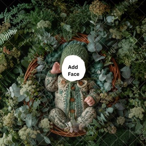 Face Insert Newborn, Digital Backdrop Woodland, Forest Digital Backdrop ...