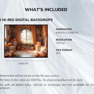 5 Autumn Digital Backdrop Bundle, Fall Digital Background for Photography, Instant Download ...