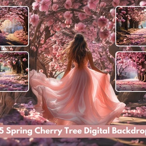5 Spring Cherry Tree, Pathway Background, Pink Blooms, Fine Art ...