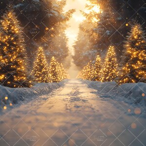 Enchanted Snowy Trail Backdrop, Pathway Christmas Tree, Snowy Winter ...