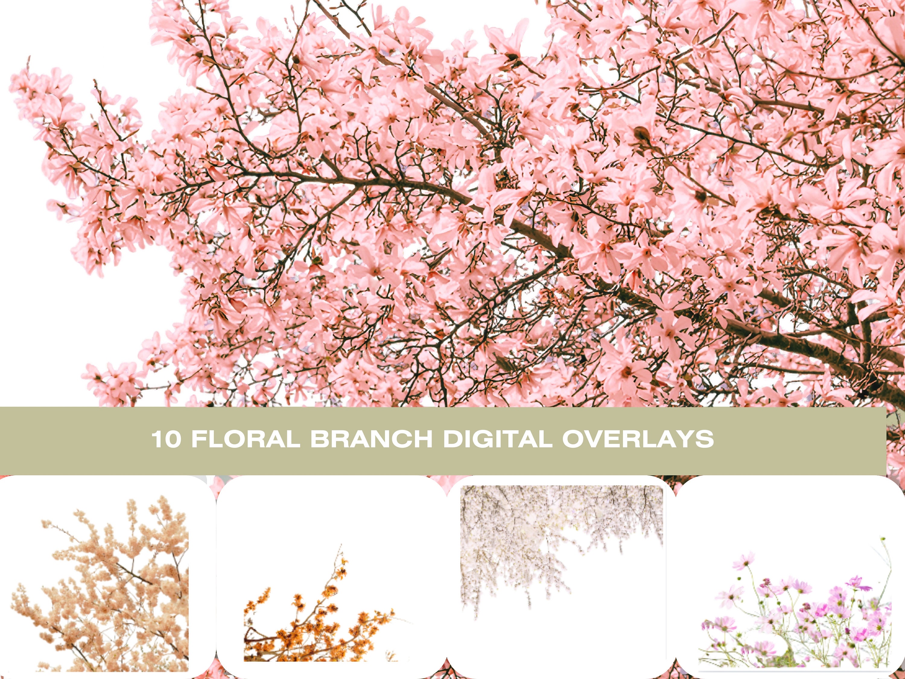10 Floral Branch Digital Overlays, Maternity Flower Branch, Overlays ...